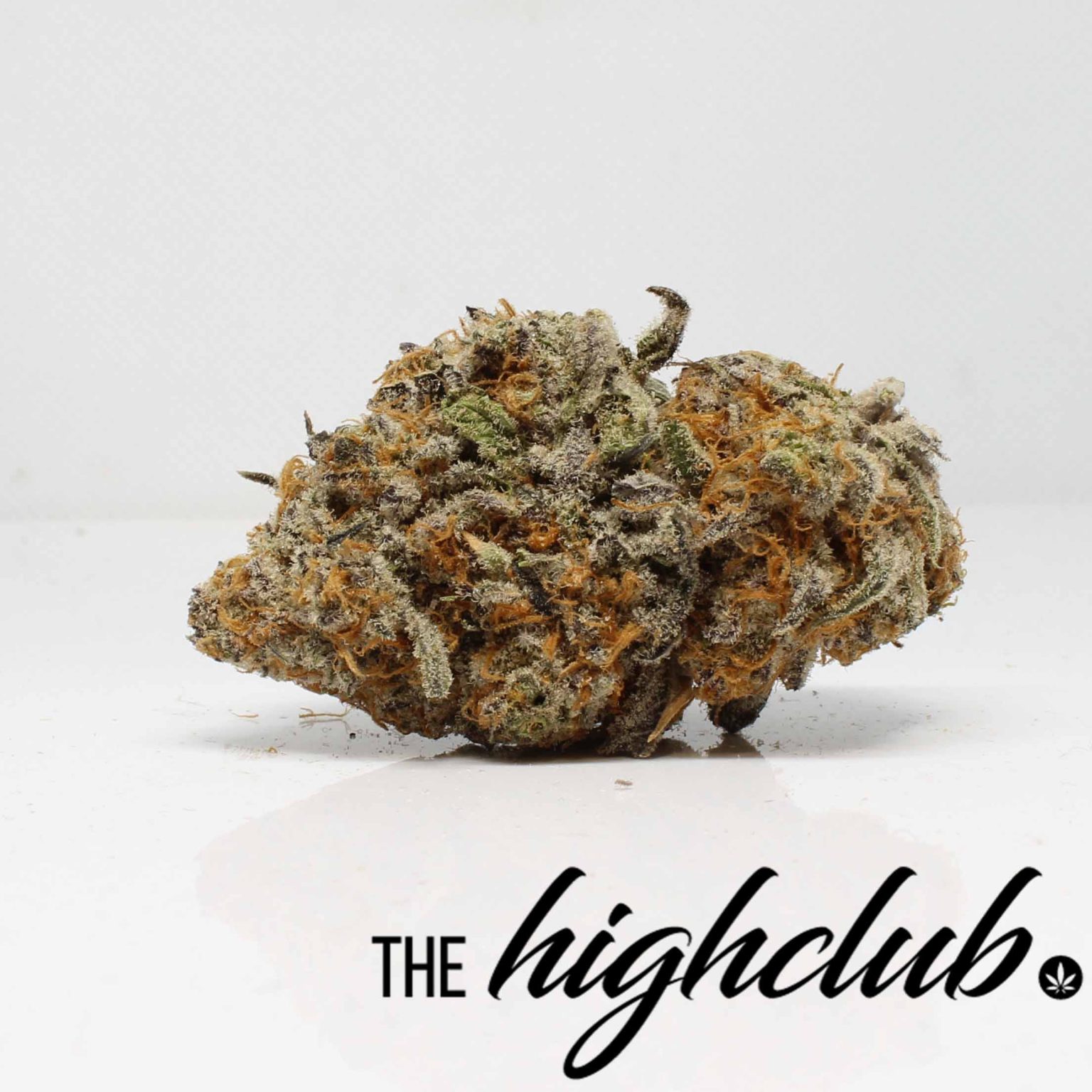 TheHighClub