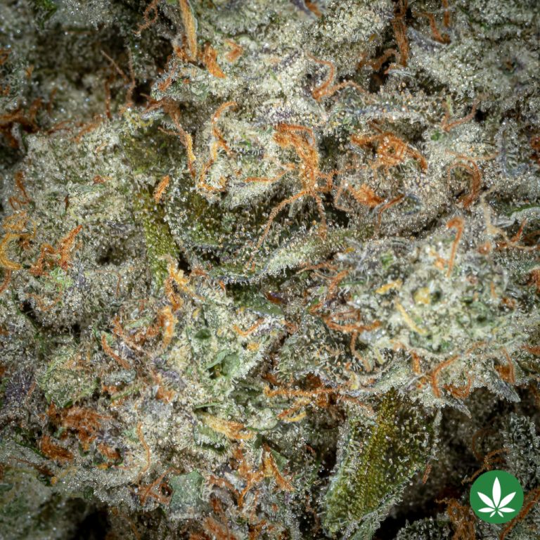 The Dank Shop — TheHighClub